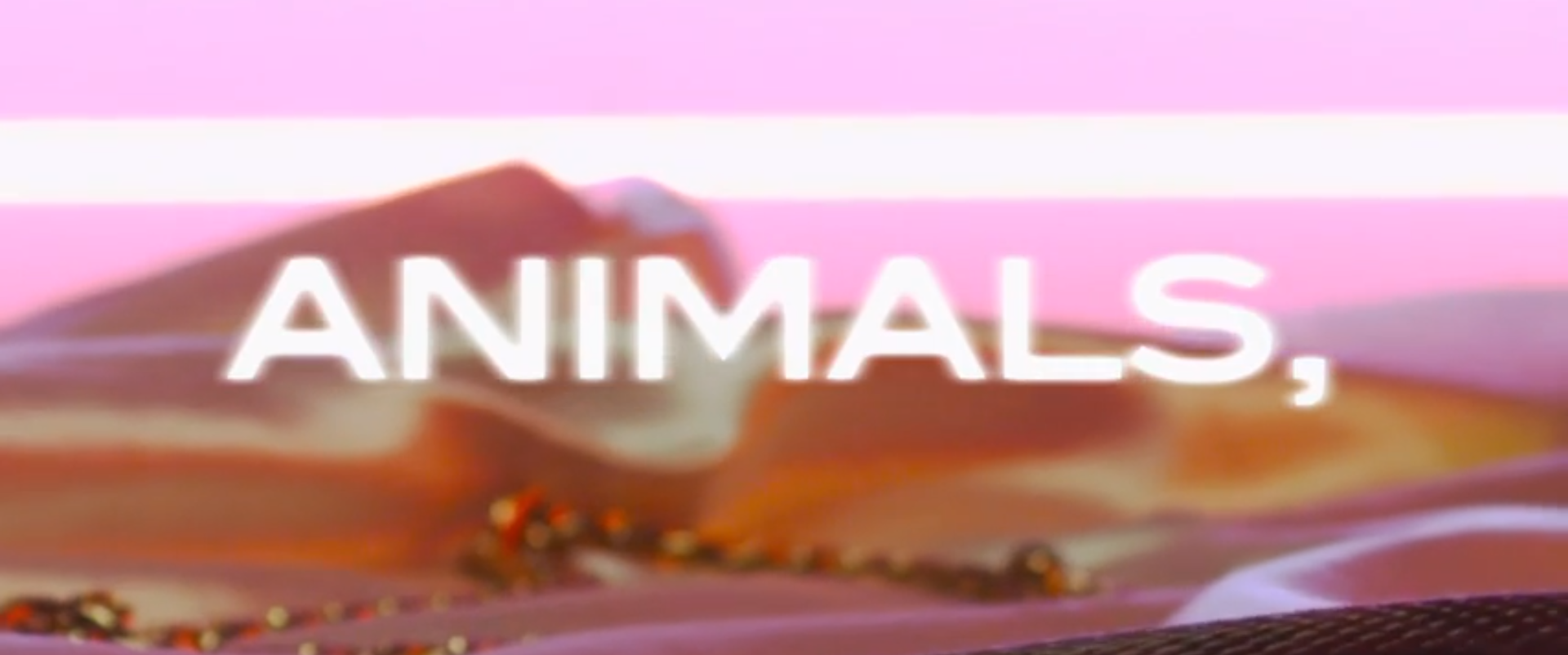 » Confira o lyric do novo single Animals!